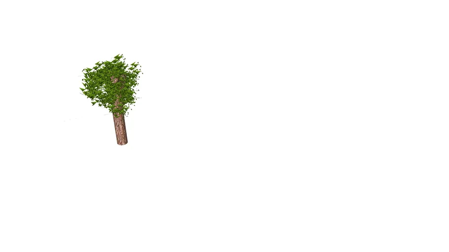Litle tree | 3D Warehouse