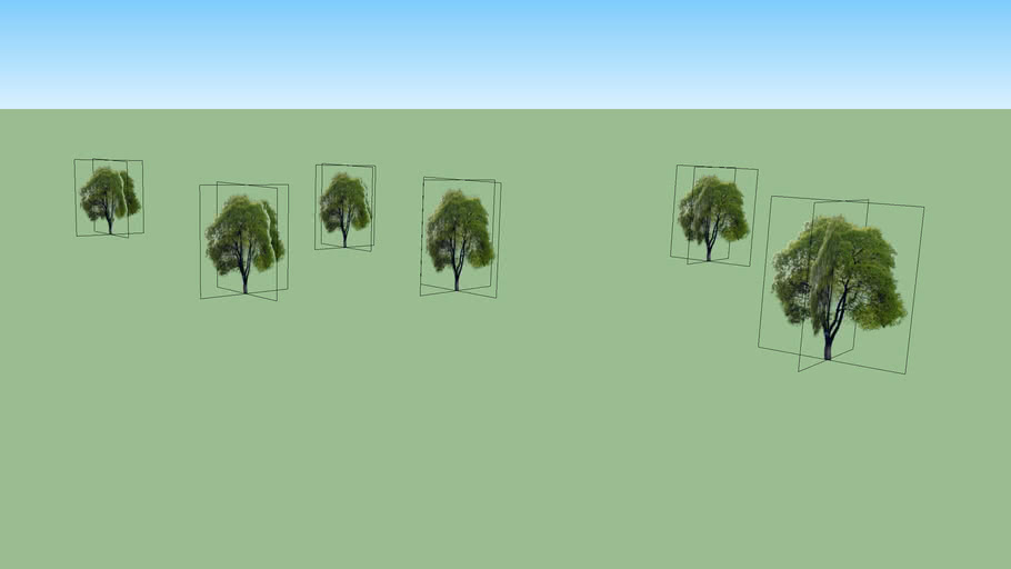 shisham tree | 3D Warehouse