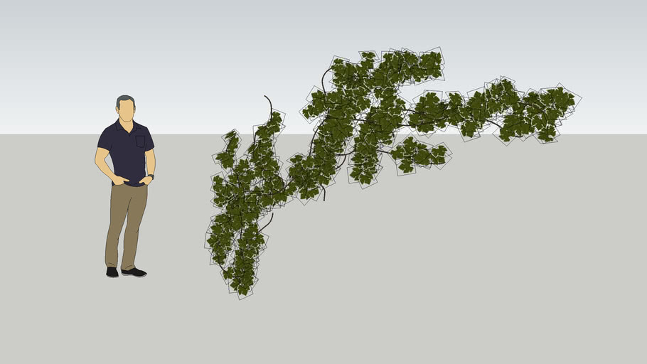 Creeping Vine Vray Ready 3d Warehouse