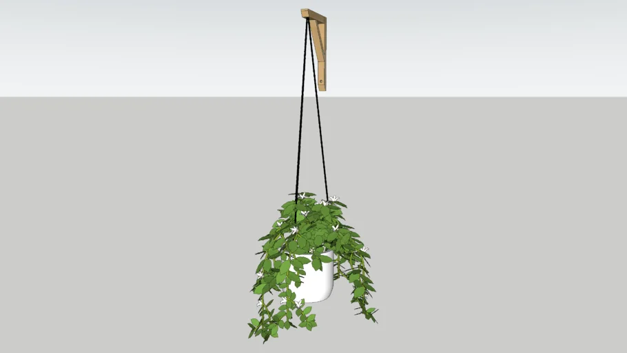 hanging plants 3d warehouse