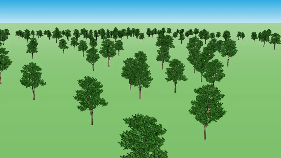 200 3D MODEL TREE IN SPRING | 3D Warehouse