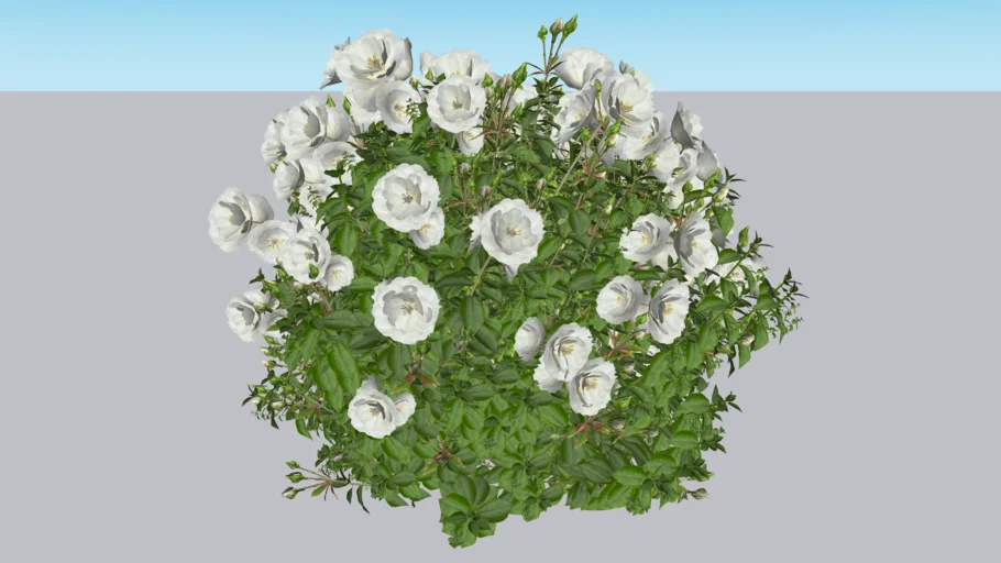 OSO EASY ICE BAY Rose | 3D Warehouse