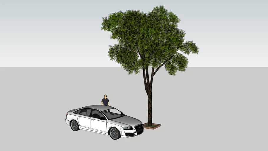 TREE-CAR LANDSCAPE pq | 3D Warehouse