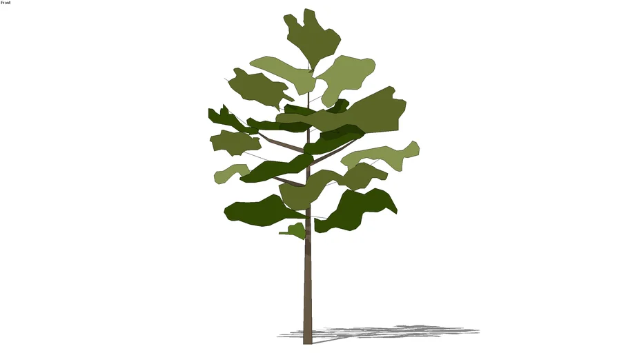 Tree_2D_Schematic_Sparse_12' | 3D Warehouse