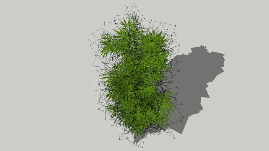 Cannabis | 3D Warehouse