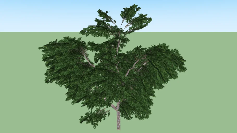 ARVORE 01 | 3D Warehouse