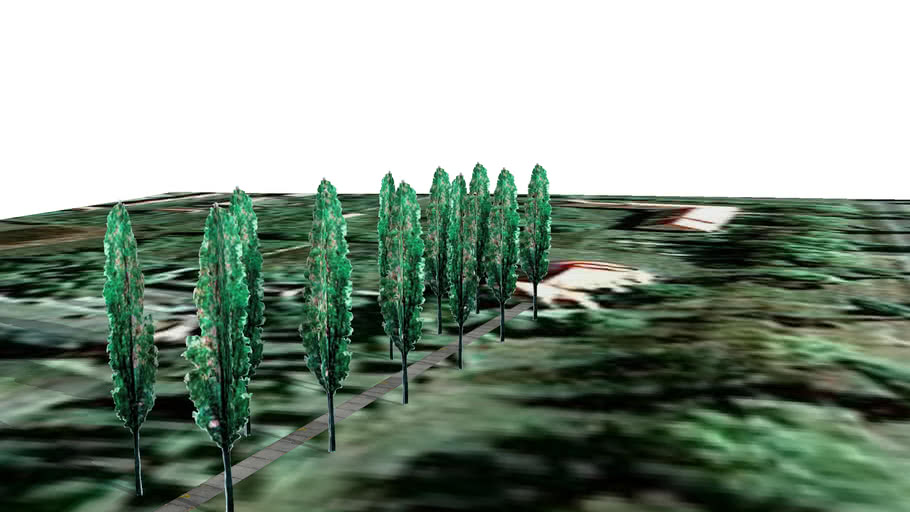 JABLAN drvo | 3D Warehouse