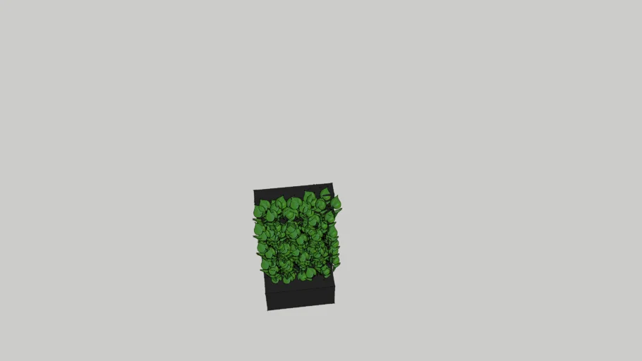 Plant Box | 3D Warehouse