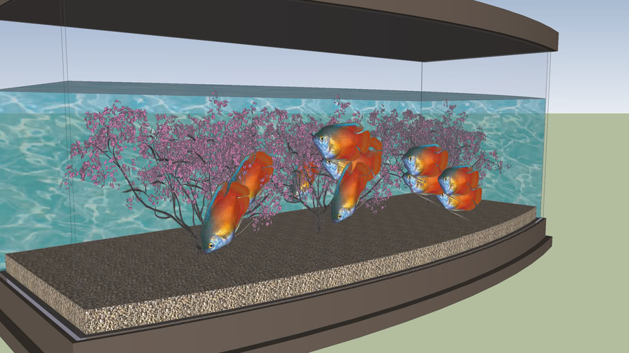 aquarium (akvaryum) | 3D Warehouse