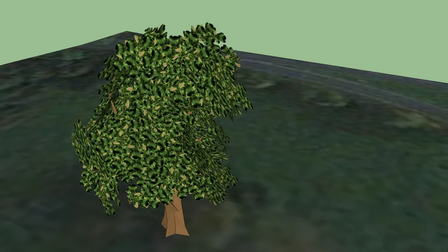 Baum in Burgau | 3D Warehouse