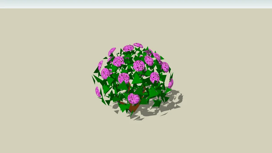 hydrangea_macrophylla | 3D Warehouse