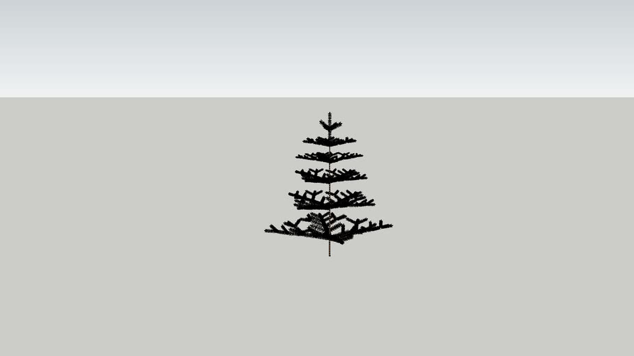 fir 3D | 3D Warehouse