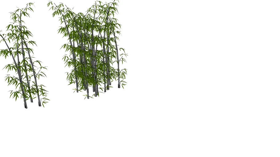 Modified Bamboo Model (Hidden Leaf Group Wireframes) | 3D Warehouse