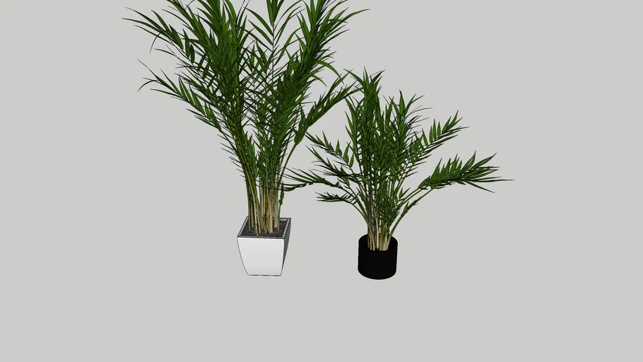 POTS PLANT (41).skp | 3D Warehouse