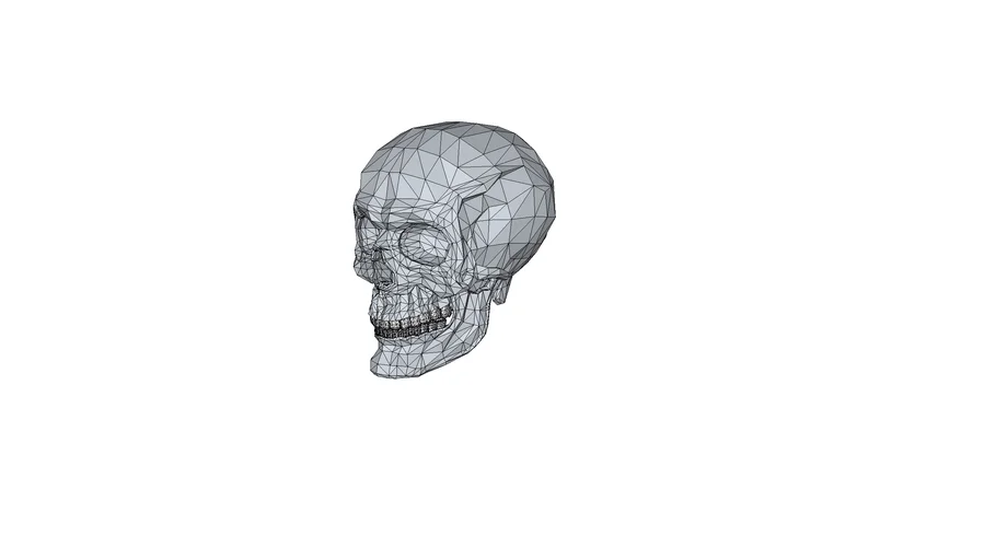Human Skull | 3D Warehouse