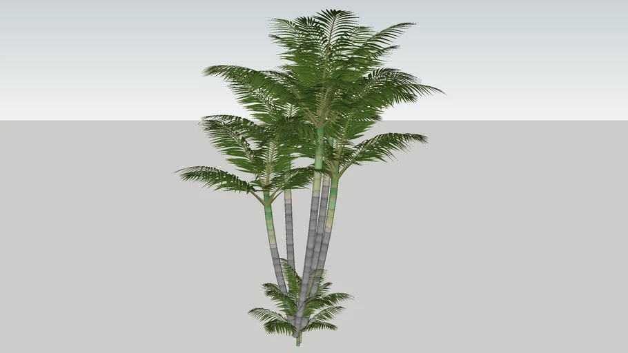 CÂY -TREE 15 | 3D Warehouse