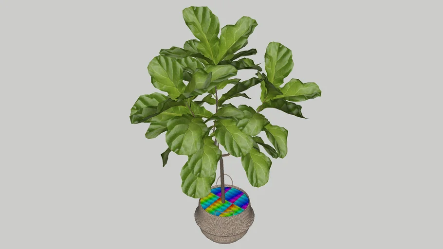 POTS PLANT (37).skp | 3D Warehouse