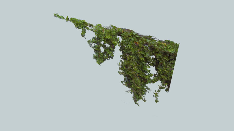 Creeper 2D | 3D Warehouse