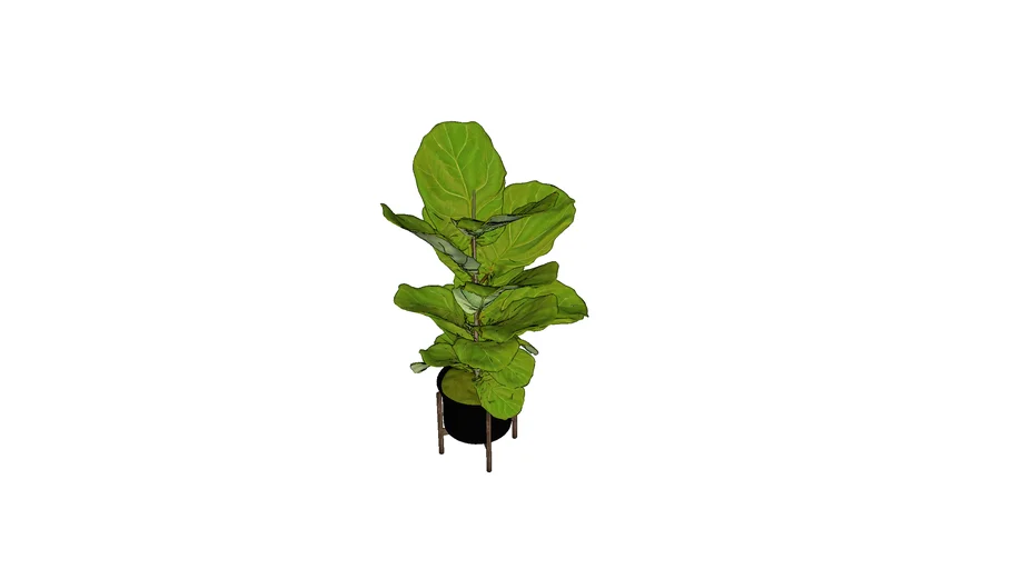 POTS PLANT (8).skp | 3D Warehouse