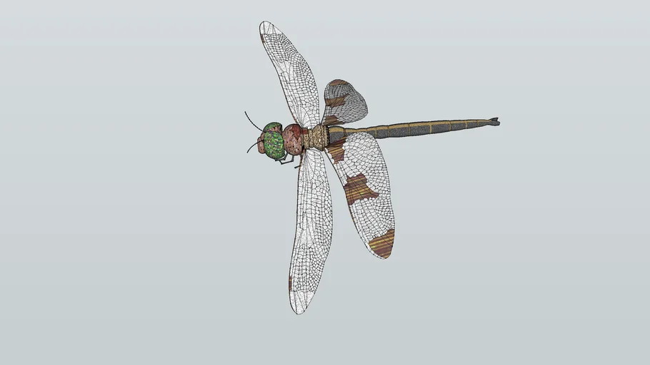 3D Dragonfly | 3D Warehouse