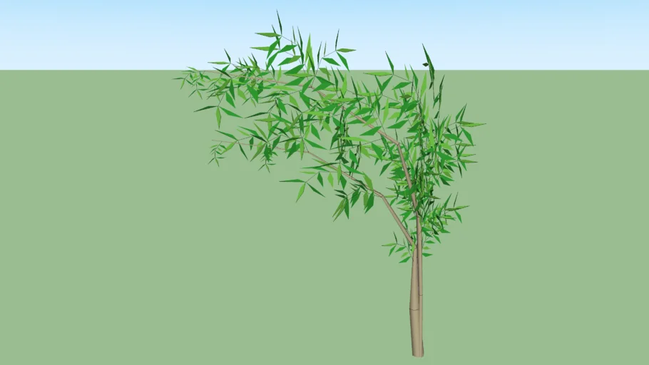 BAMBU MOSSO | 3D Warehouse