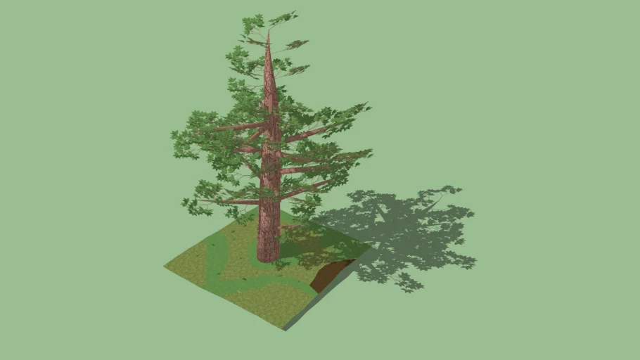 3D tree | 3D Warehouse