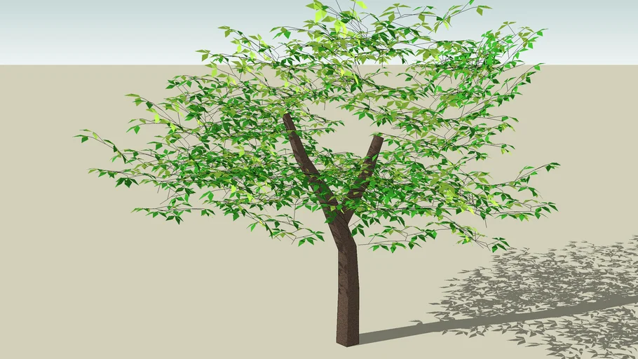 Rohit trees | 3D Warehouse