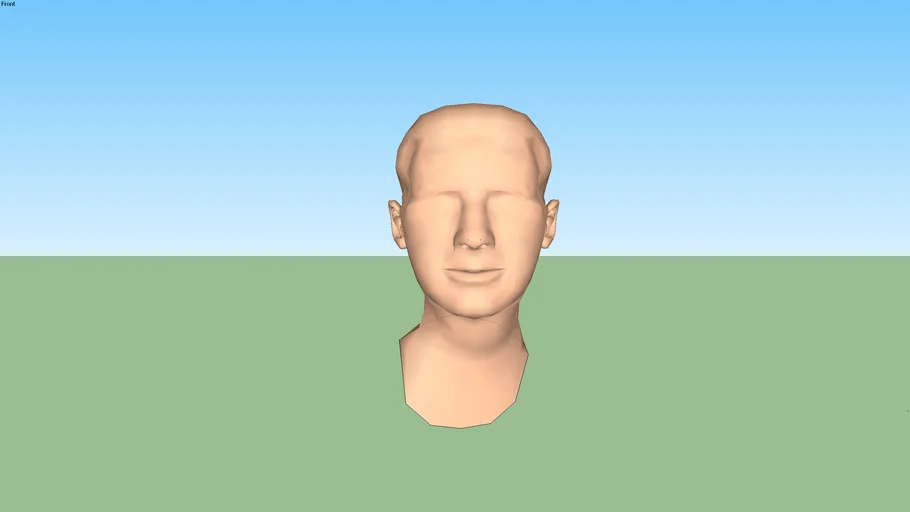 face mask | 3D Warehouse