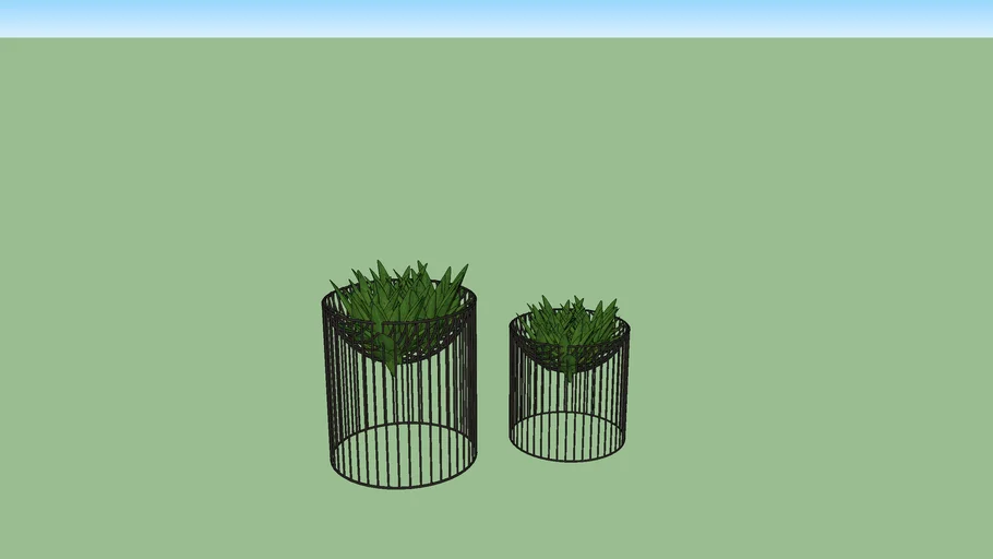 Vasos aramados com suculentas | 3D Warehouse