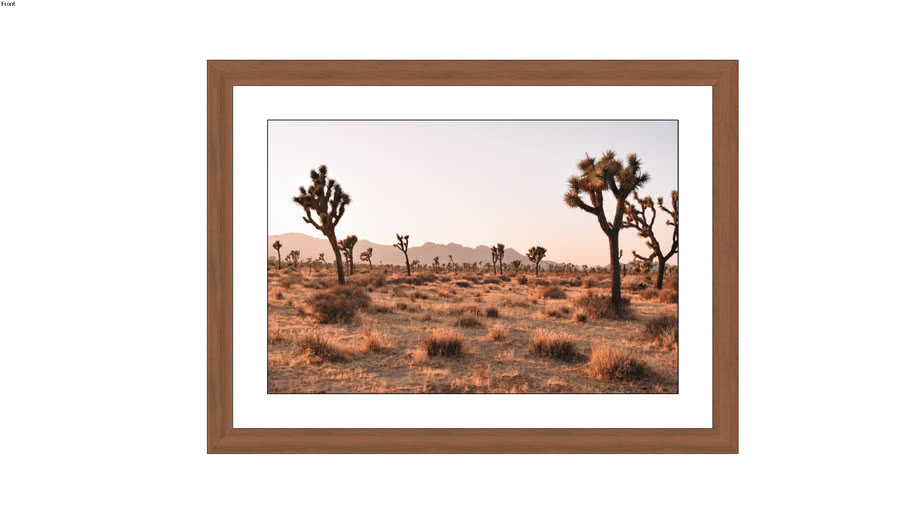 Joshua Tree Desert Artwork Framed | 3D Warehouse
