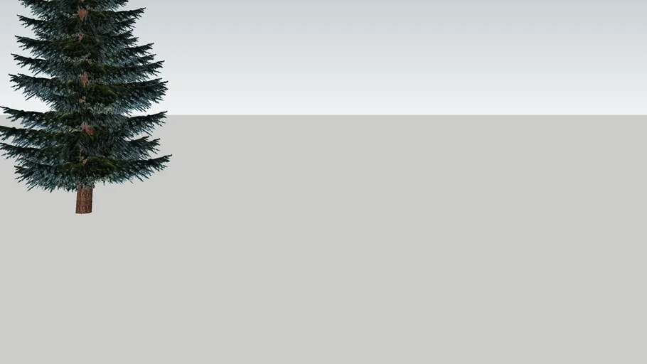 perfect pine tree/ christmas tree | 3D Warehouse