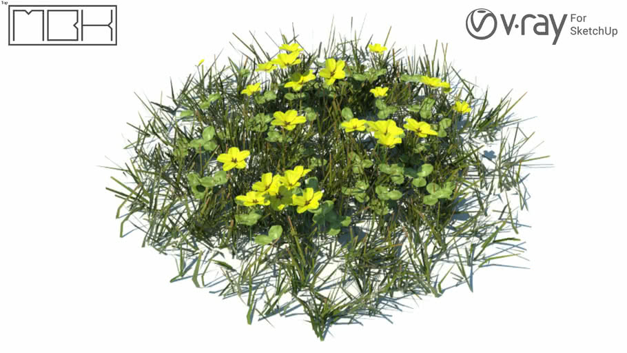 Grama con flores3 | 3D Warehouse