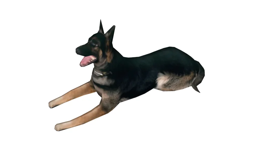 perro | 3D Warehouse