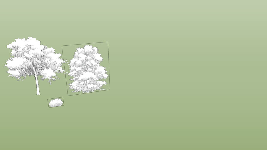 PENCIL DRAWING TREE | 3D Warehouse