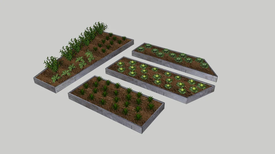 Vegetable garden with raised beds | 3D Warehouse