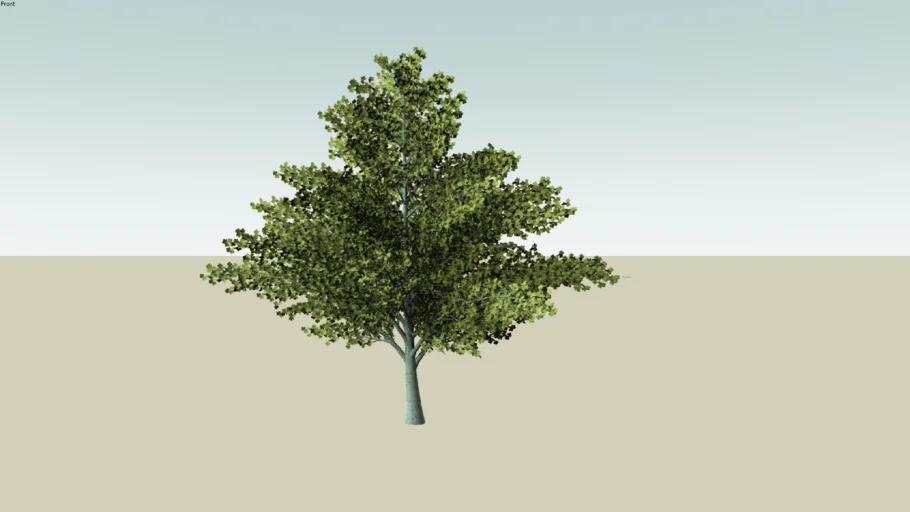 Árvore | 3D Warehouse