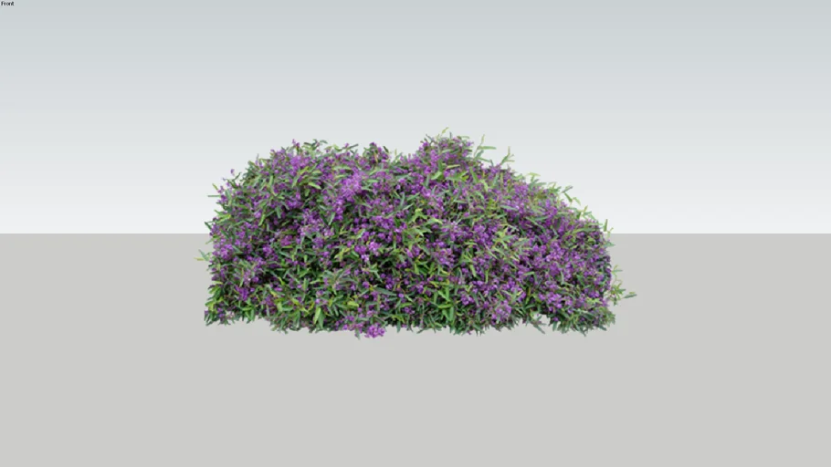 Meema TM | 3D Warehouse