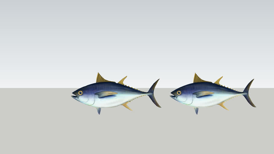 ikan fish | 3D Warehouse