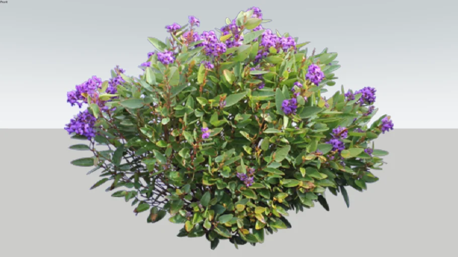 Mini Meema TM | 3D Warehouse