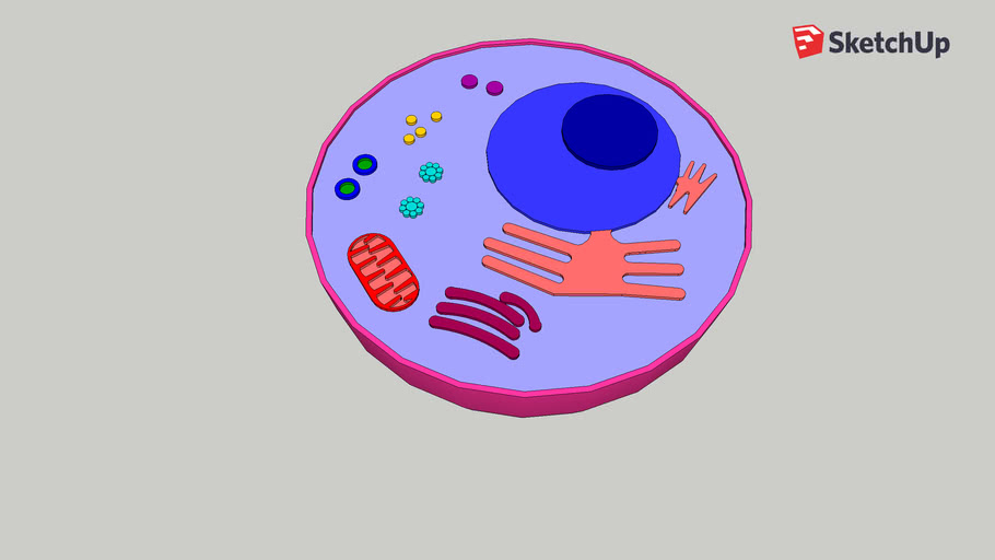 cell model complete | 3D Warehouse