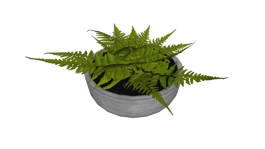 Decorative plant / Tree object | 3D Warehouse