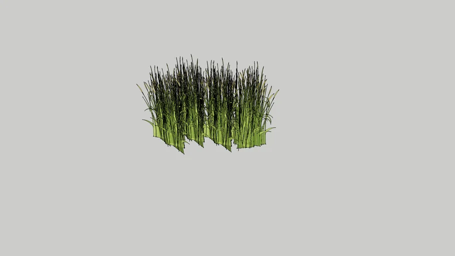 Grass | 3D Warehouse