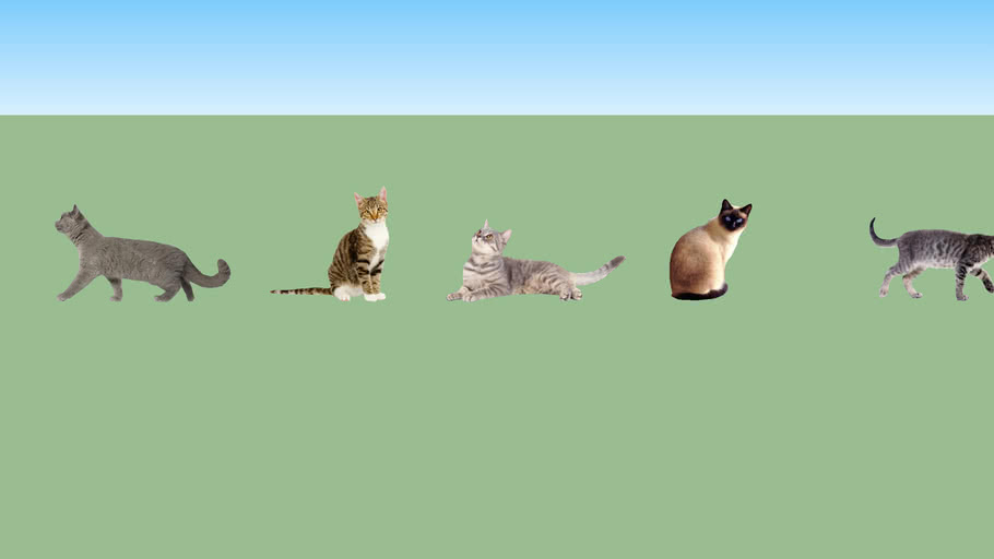 Gatos, Cats | 3D Warehouse