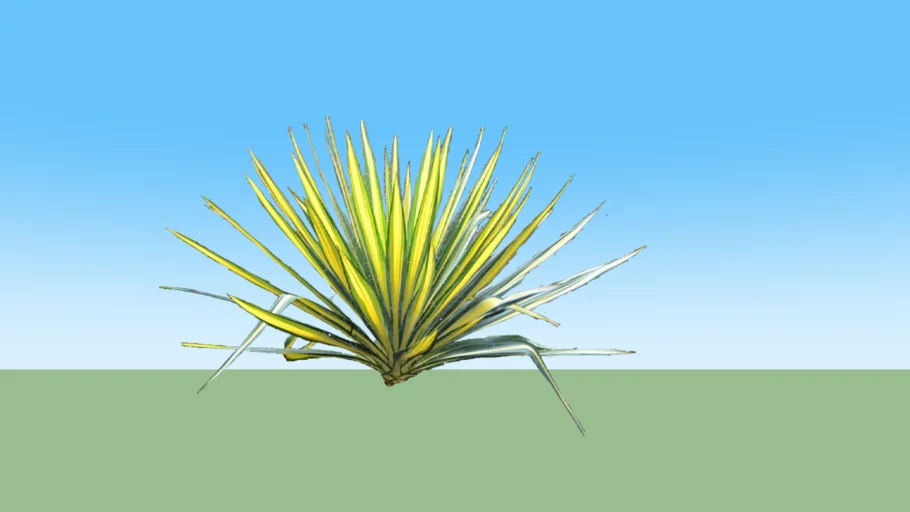 Yucca Colour Guard | 3D Warehouse