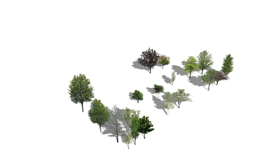 tree 2d | 3D Warehouse