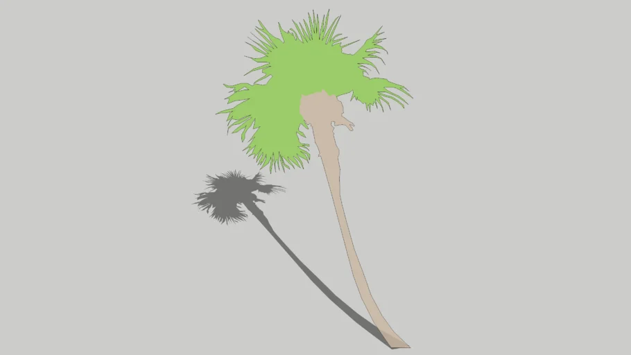 2D Schematic Palm Tree | 3D Warehouse