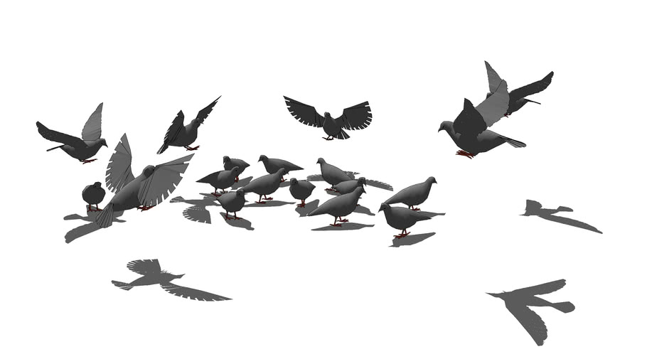 Burung | 3D Warehouse