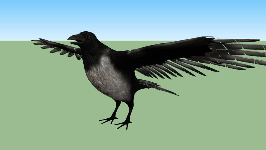 magpie | 3D Warehouse
