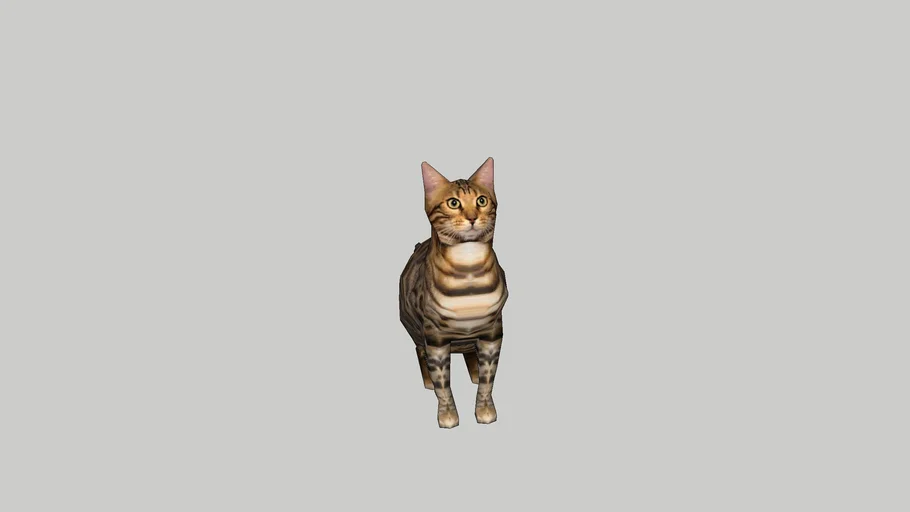Bengal Cat | 3D Warehouse