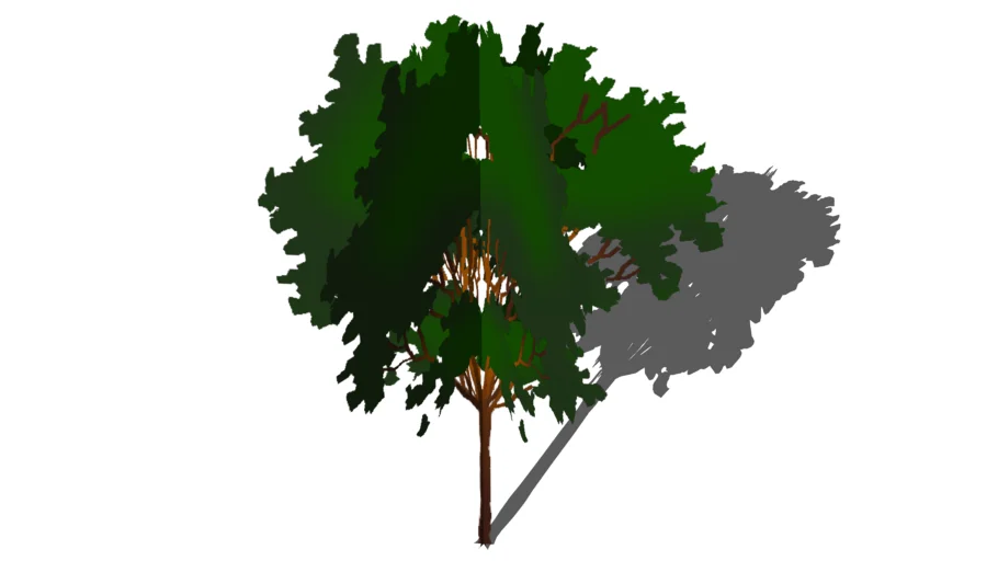 Arbre 2d | 3D Warehouse